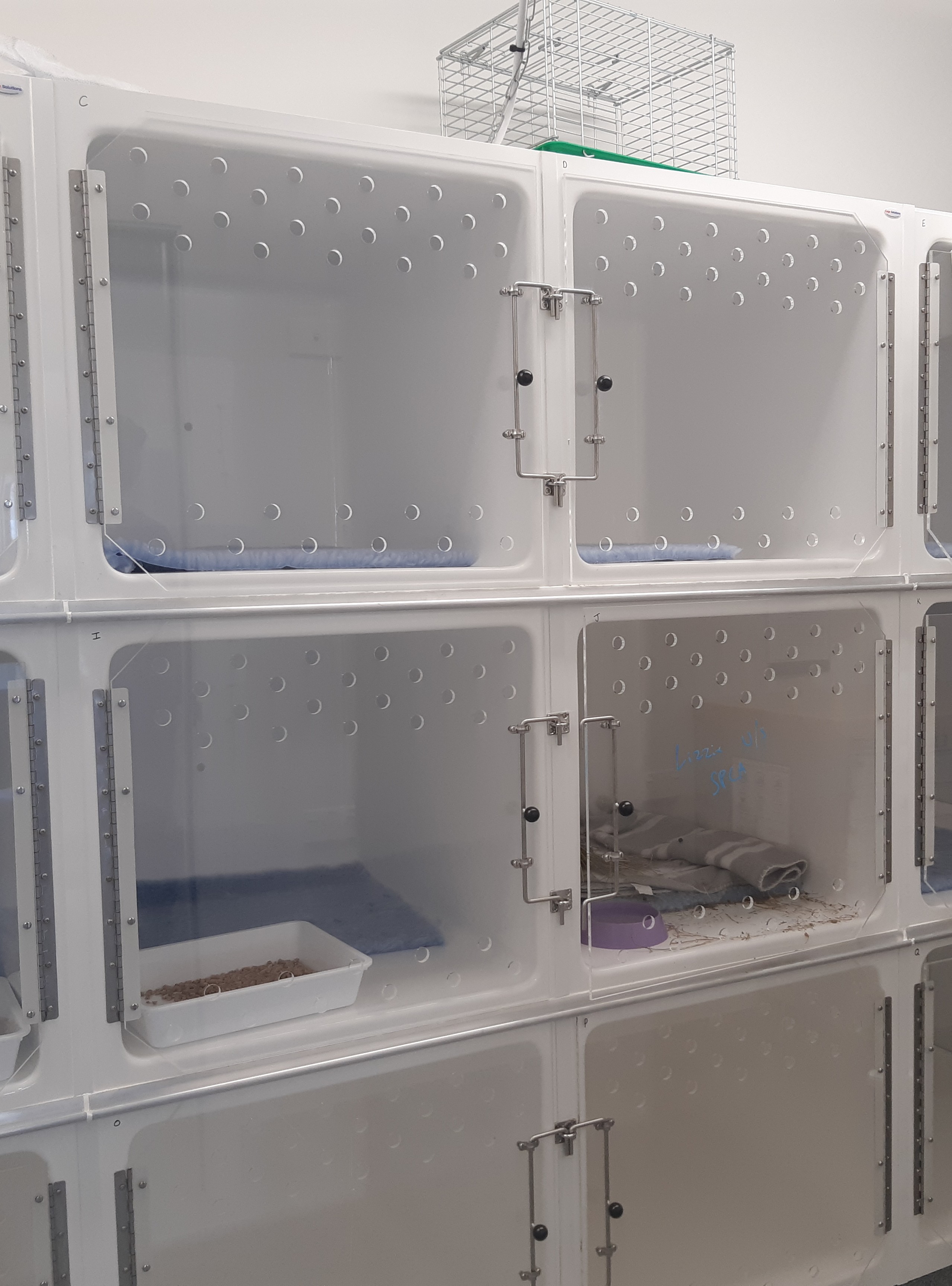 Cat Cages - Richmond Fibreglass