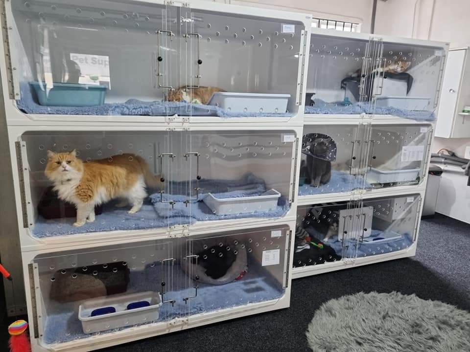 Cat Cages - Richmond Fibreglass